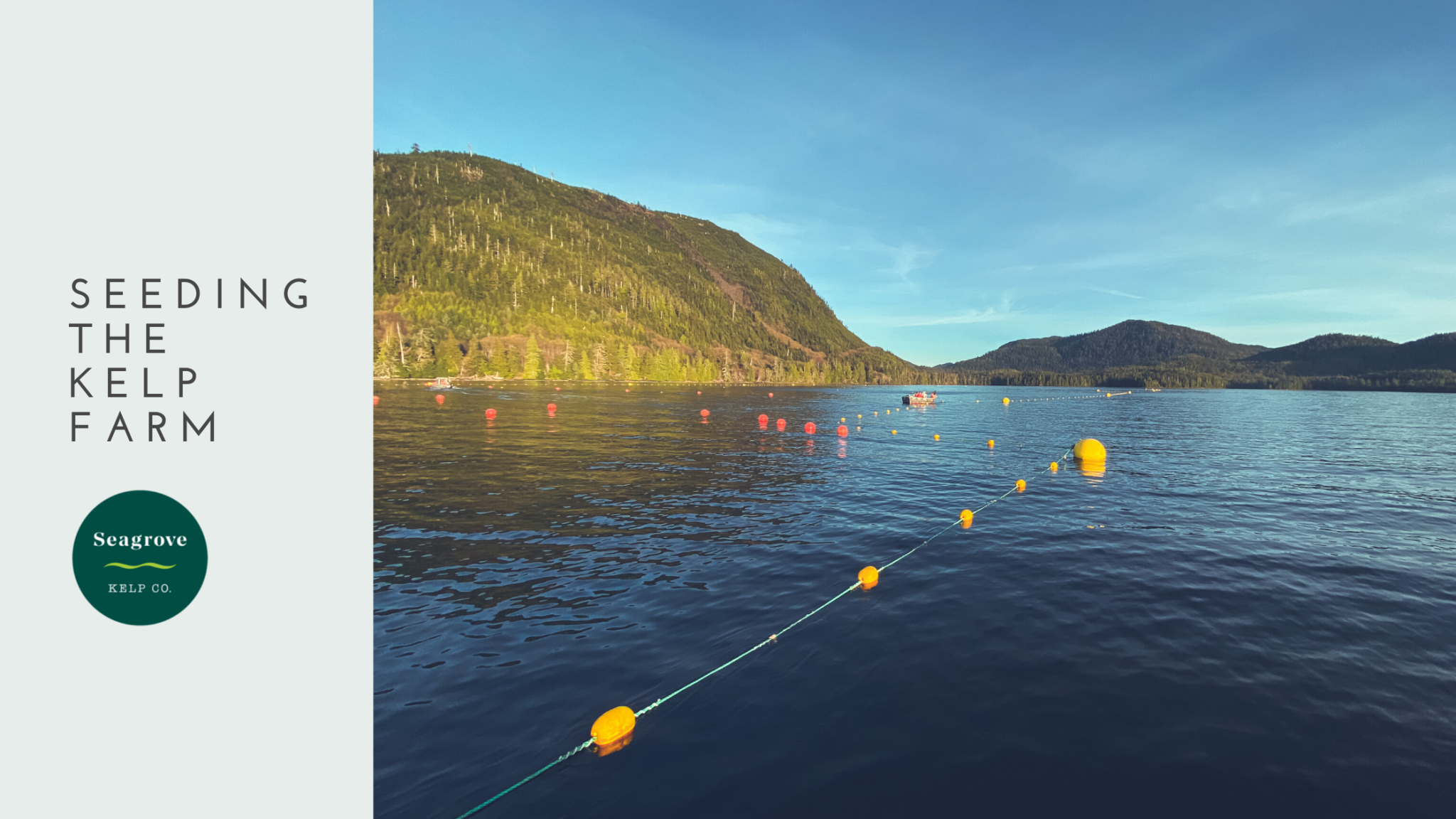 Seeding the Kelp Farm
